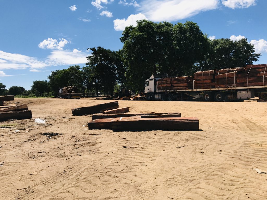 N$24m lost in timber exports - Investigation Unit